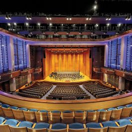 Diva® Acoustical Shell