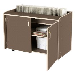 Music Sorting Rack,Evening Tigris,Composite Wood,With Doors